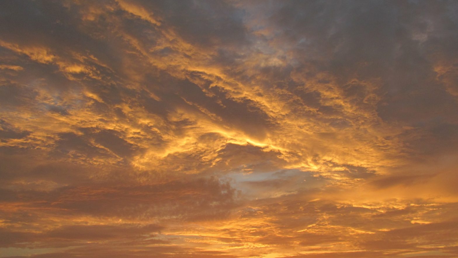 Cloudscape – Riju Speaks